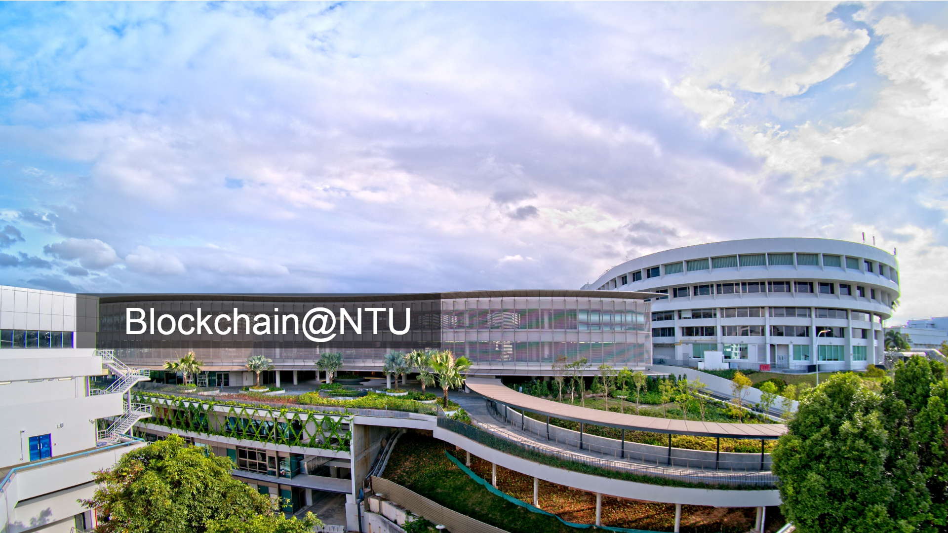 Singapore is a Blockchain Education Powerhouse - We Found You the Best